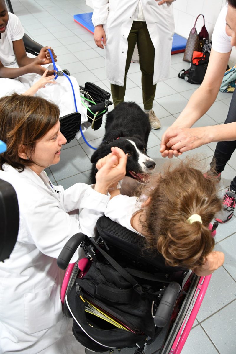 SOSTIENI LA DOG THERAPY NELLE SCUOLE E NEGLI OSPEDALI – For a Smile